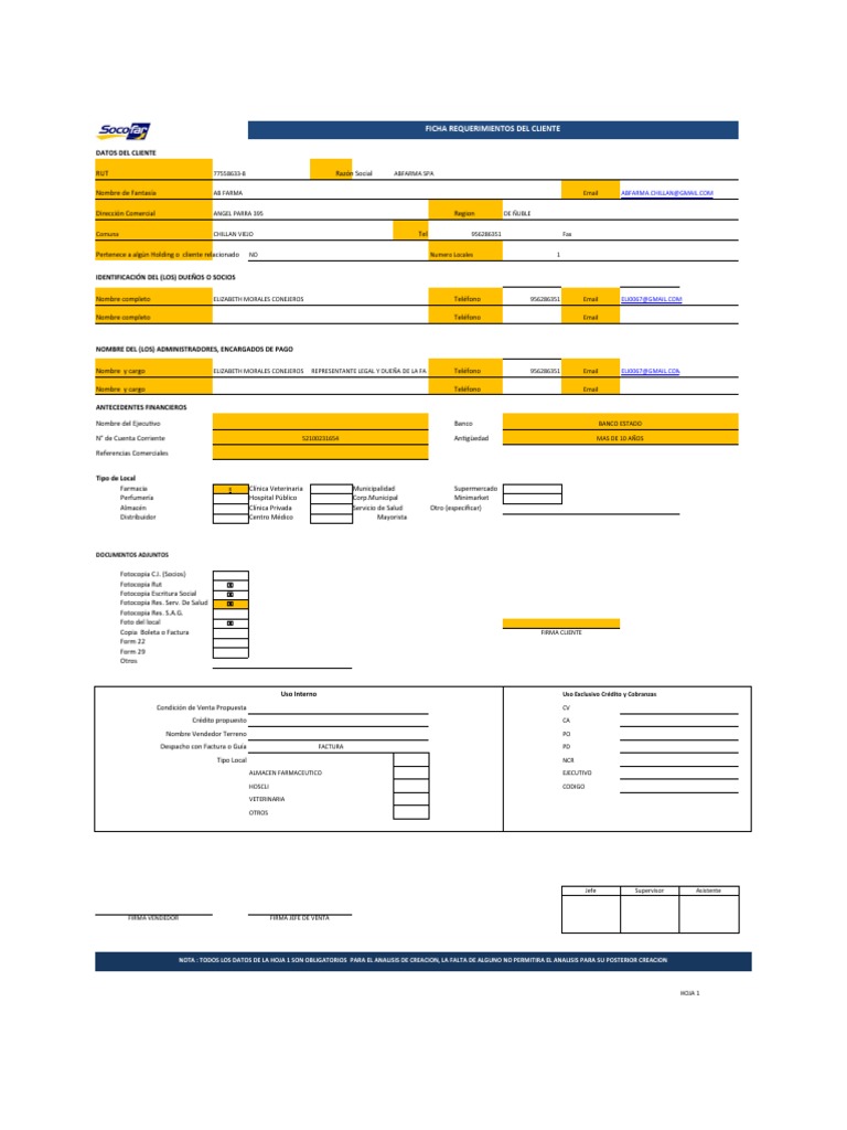 Ficha Cliente Nuevo en Blanco | PDF