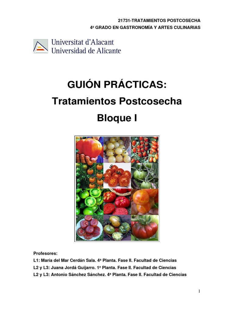 Guio¿n de Pra¿cticas Tratamientos Postcosecha 22 - 23 | PDF | Carotenoide | Naranja)