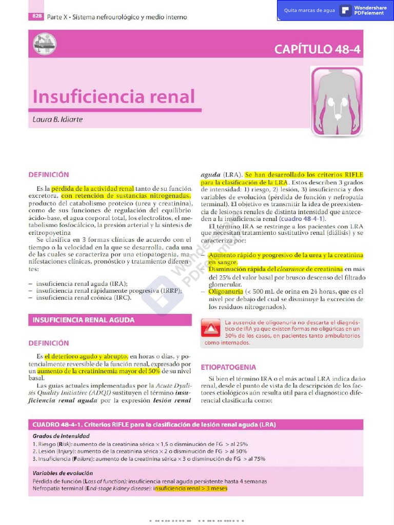 Insuficiencia Renal | PDF | Isquemia | Órgano (anatomía)