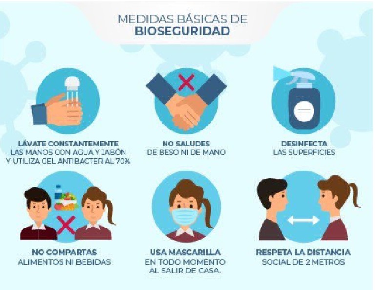 Medidas de Bioseguridad | PDF