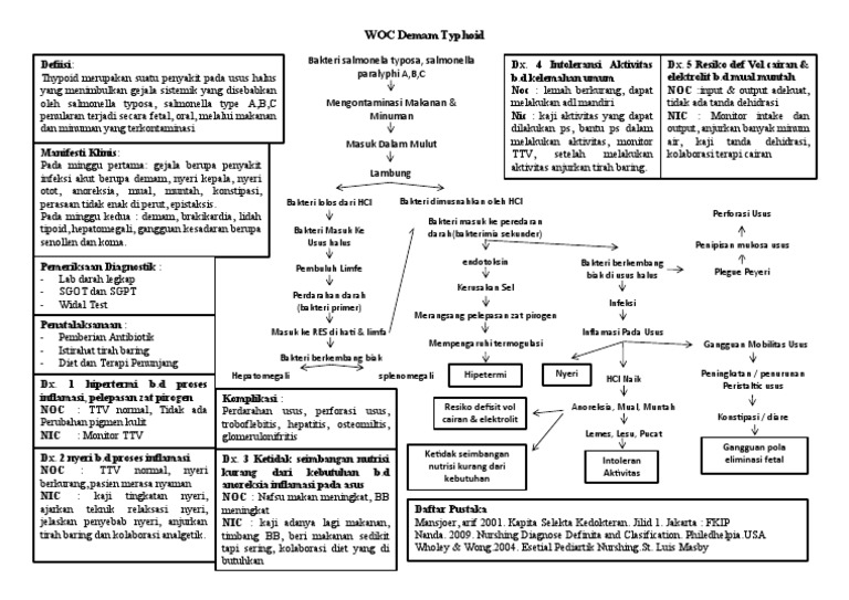 WOC Demam Typhoid | PDF