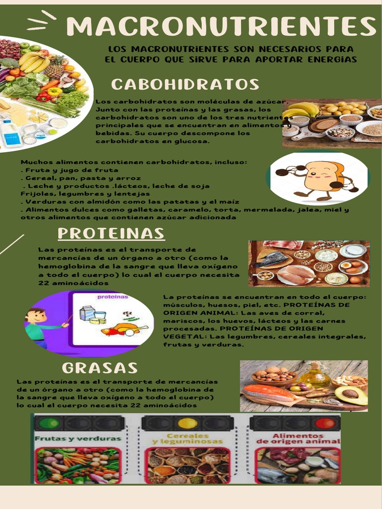 Infografía Macronutrientes y Los Alimentos. | PDF | Alimentos ...