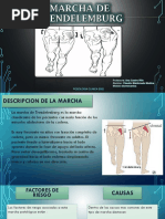 Test de Trendelenburg y su evaluación | PDF | Osteoartritis | Pelvis