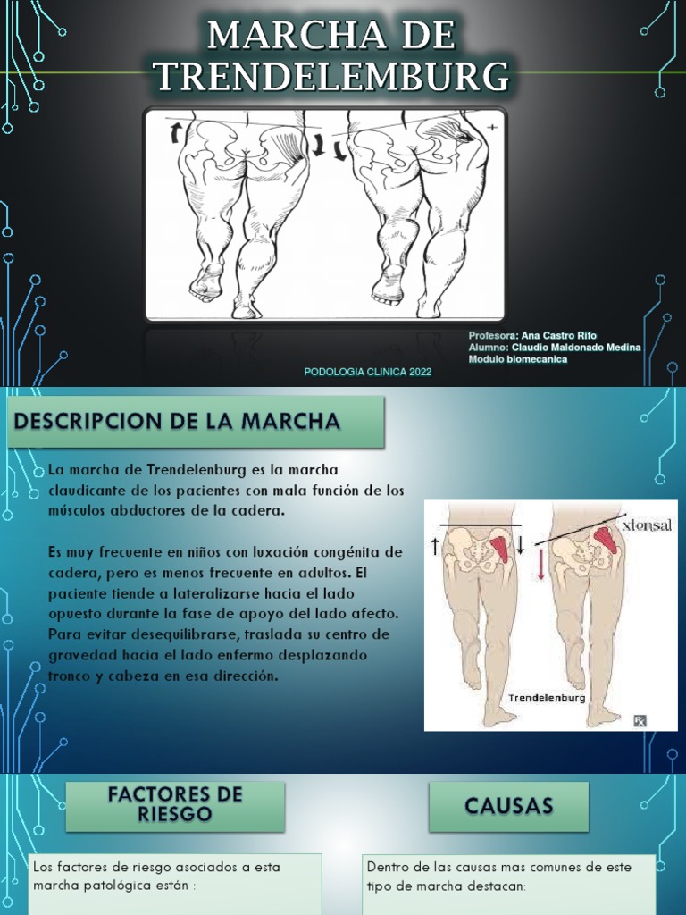 Marcha de Trendelemburg | PDF | Nalgas | Rodilla