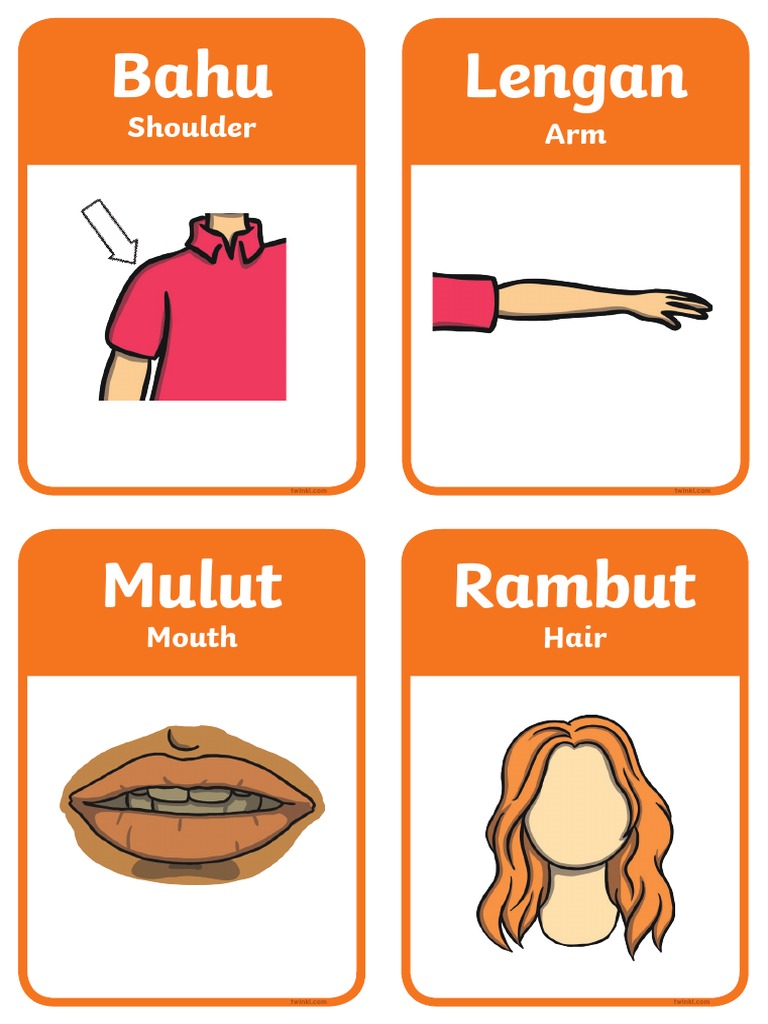 Flashcards Anggota Tubuh | PDF