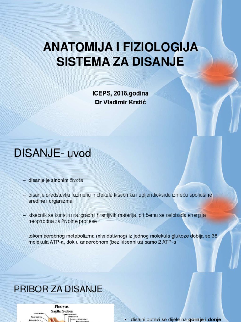 Anatomija-i-fiziologija-sistema-za-disanje-dr-Krstic-Vladimir | PDF