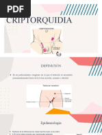 Protocolo Rose | PDF | Reanimación cardiopulmonar | Medicina CLINICA