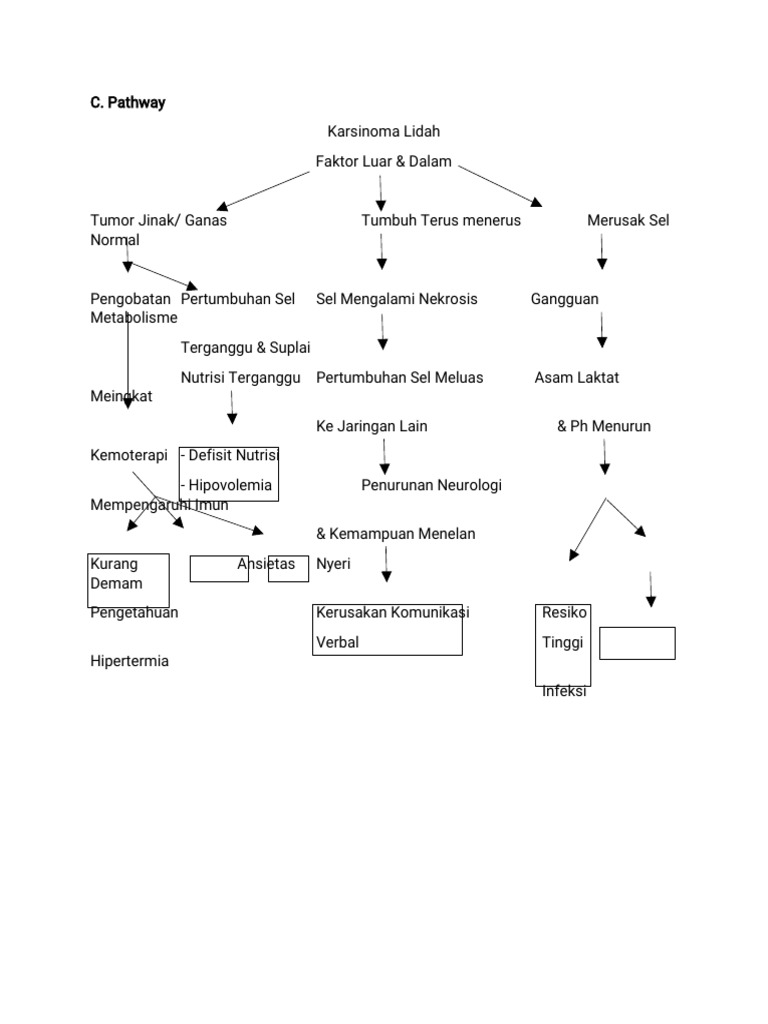 Pathway CA Lidah | PDF