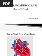 Ecg Made Ridiculously Easy! | PDF | Electrocardiography | Heart