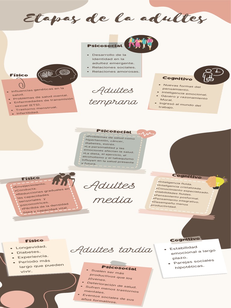 Etapas de La Adultez | PDF | Desarrollo humano | Ciencias del comportamiento