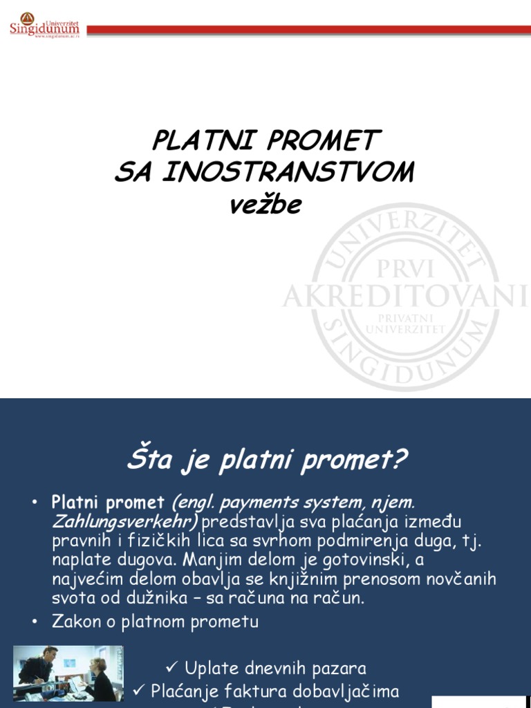 Platni Promet Sa Inostranstvom | PDF