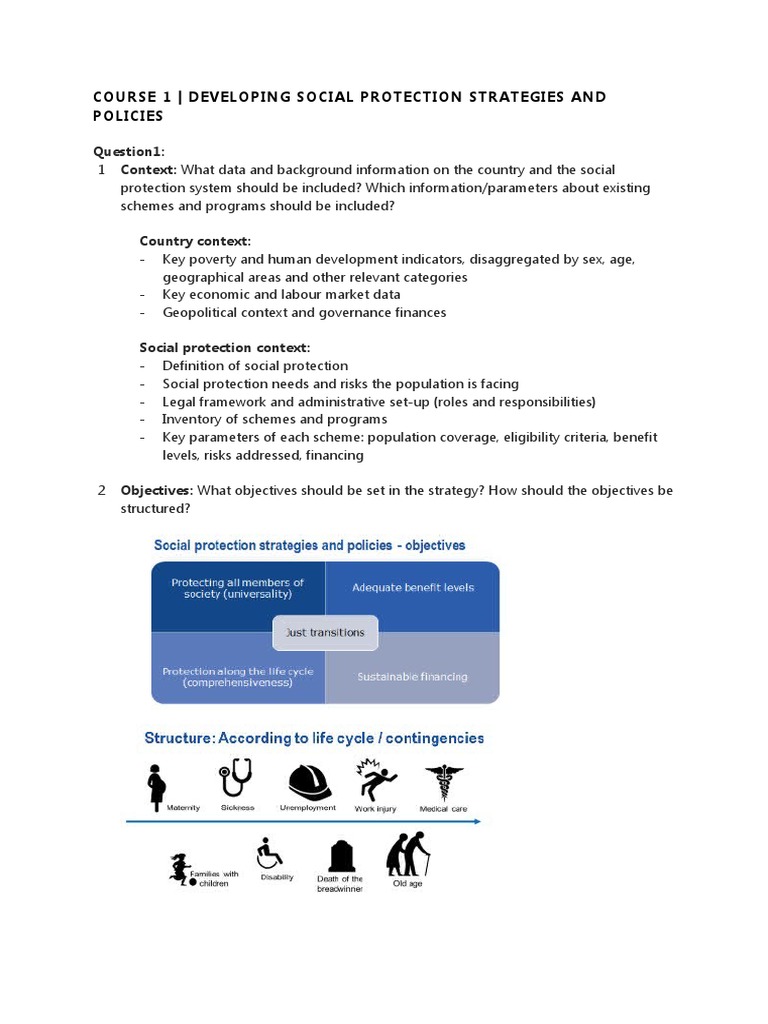 Social Protection Strategy Development Guide | PDF | Social Science