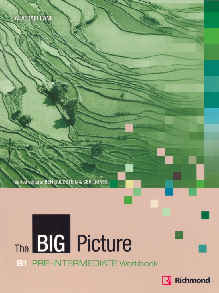 The Big Picture - Pre - Intermediate (Workbook) | PDF