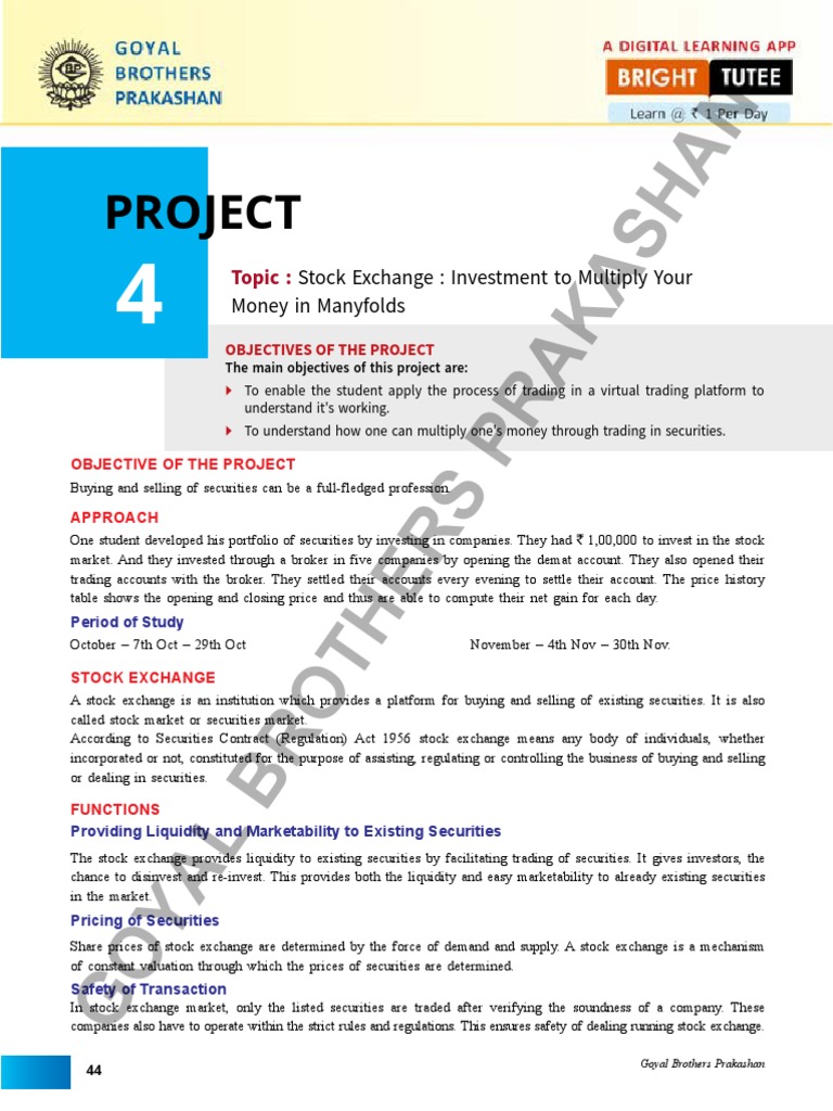Stock Exchange Project Overview for Class 12 | PDF | Stocks ...