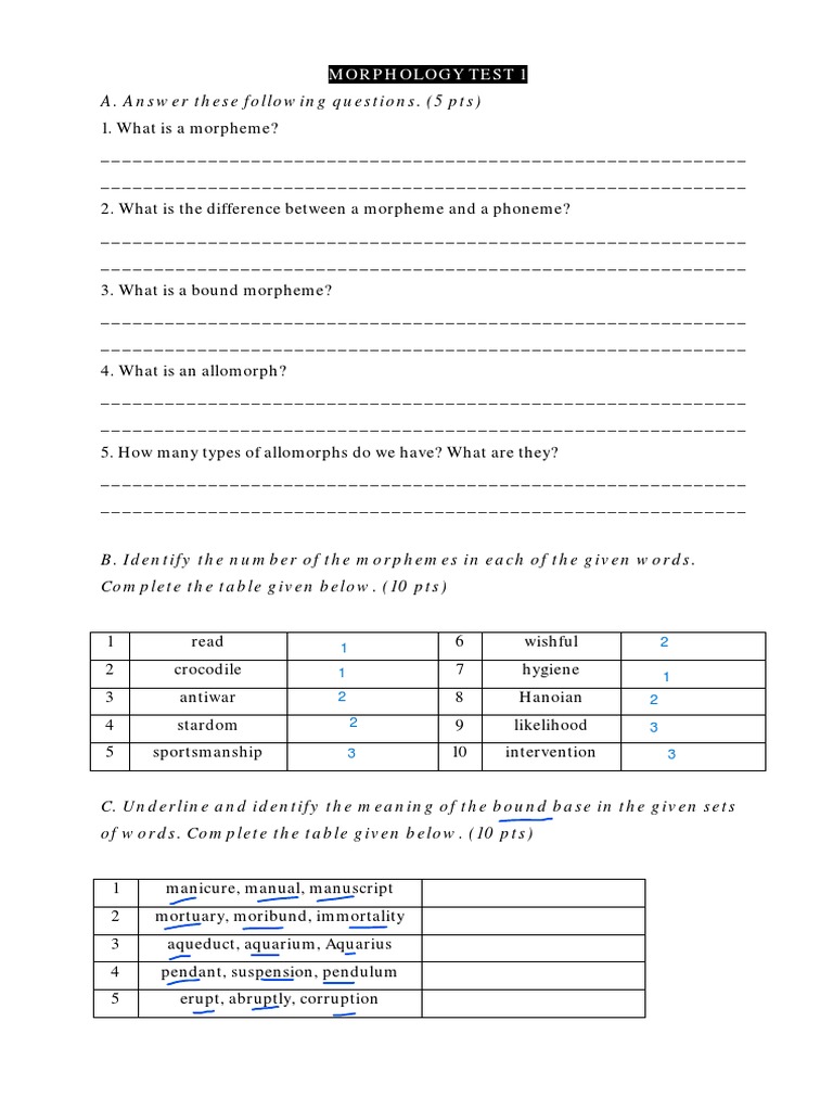 Morphology Test A | PDF | Morphology (Linguistics) | Human Communication