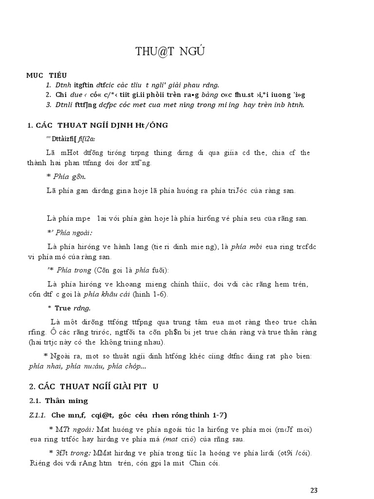 1570 - Giai Phau Rang - DHYD TPHCM-22-23 | PDF