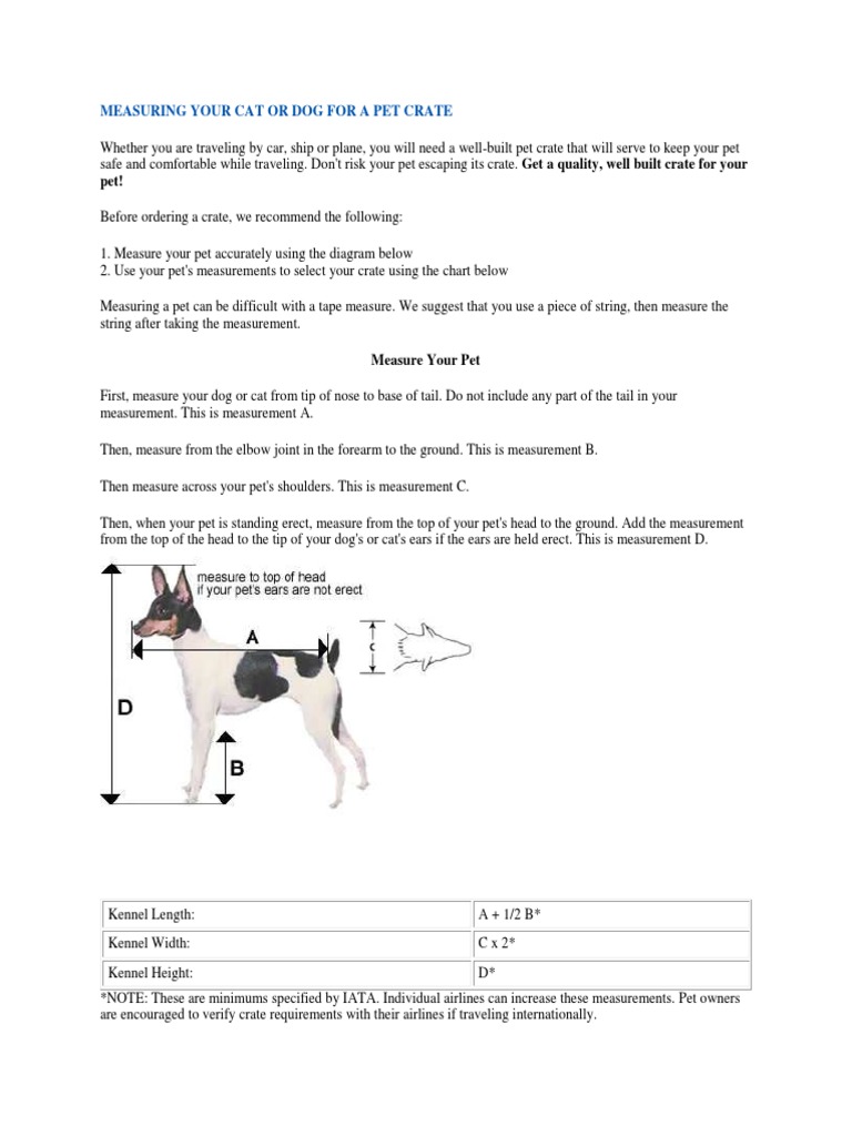 Measuring Your Pet! | PDF | Pet | Dogs