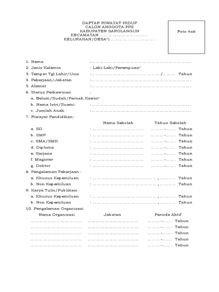 Daftar Riwayat Hidup PPS 2024 | PDF