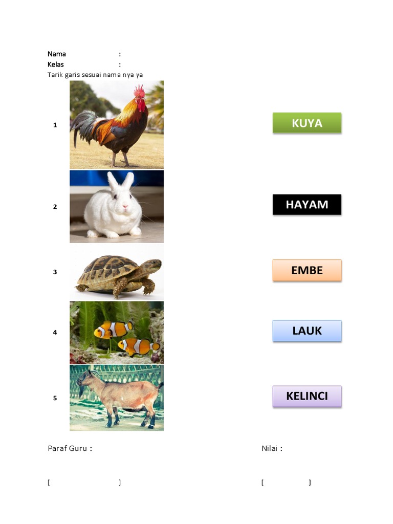 Nama-Nama Hewan Bahasa Sunda | PDF