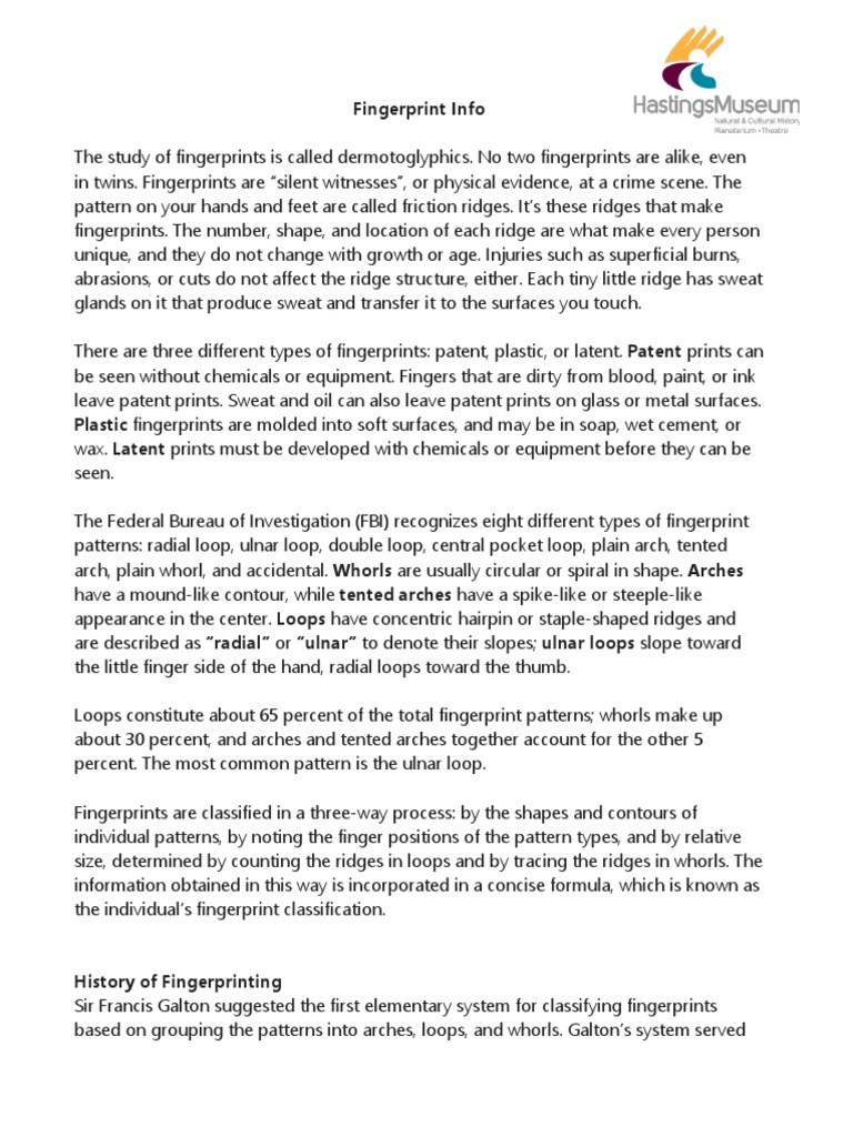 Fingerprint Info Activities | PDF | Fingerprint | Hand