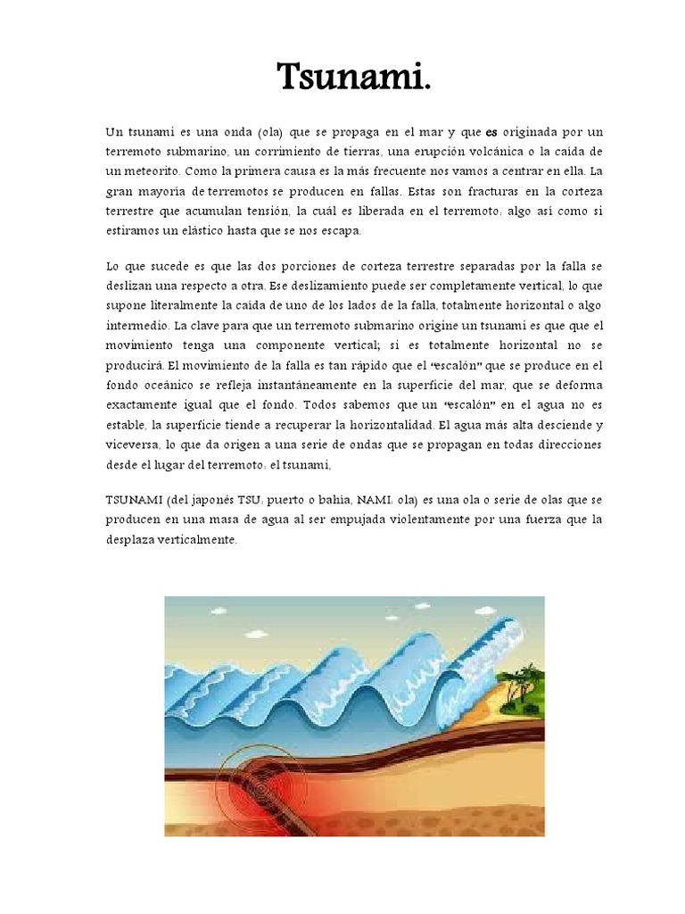 Tsunami | PDF