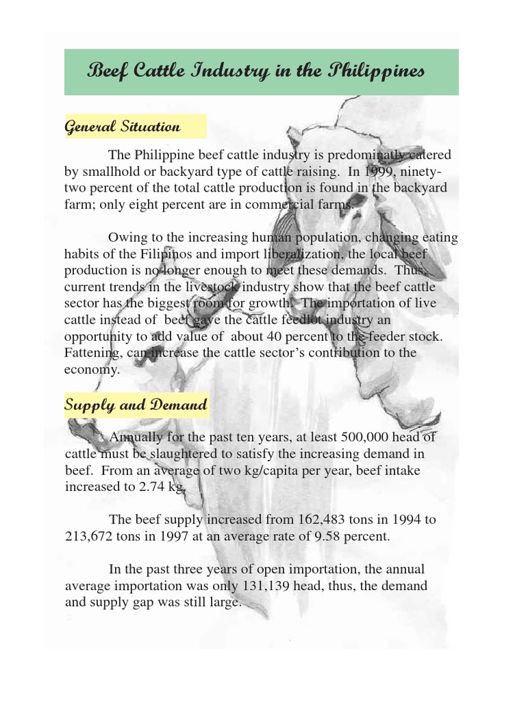 Beef Cattle Industry in The PH | PDF | Cattle | Beef