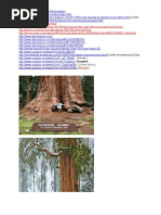 Nonton Bokep Indo Terbaru Gratis | PDF