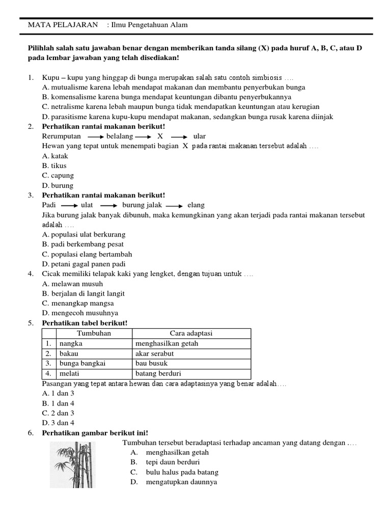 Soal Ipa Kelas 5 Dan 6 Ke - 2 | PDF