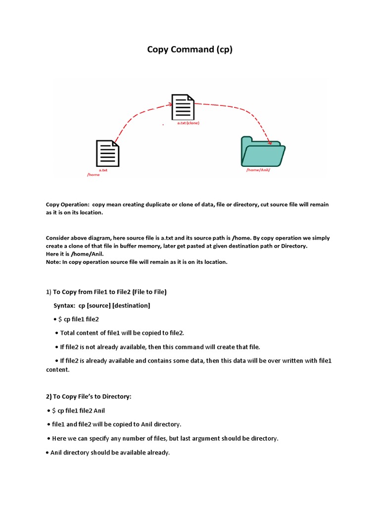 Copy and Move Command | PDF | Computer File | Text File