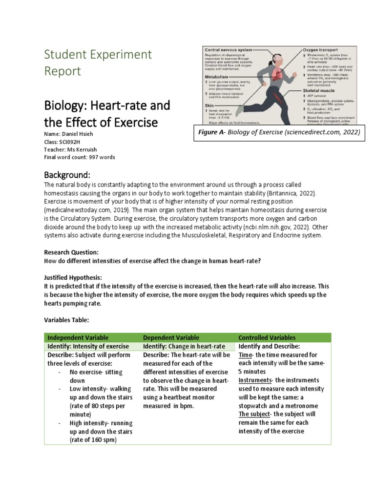 Daniel Hsieh Year 9 Science PDF | PDF | Heart Rate | Experiment