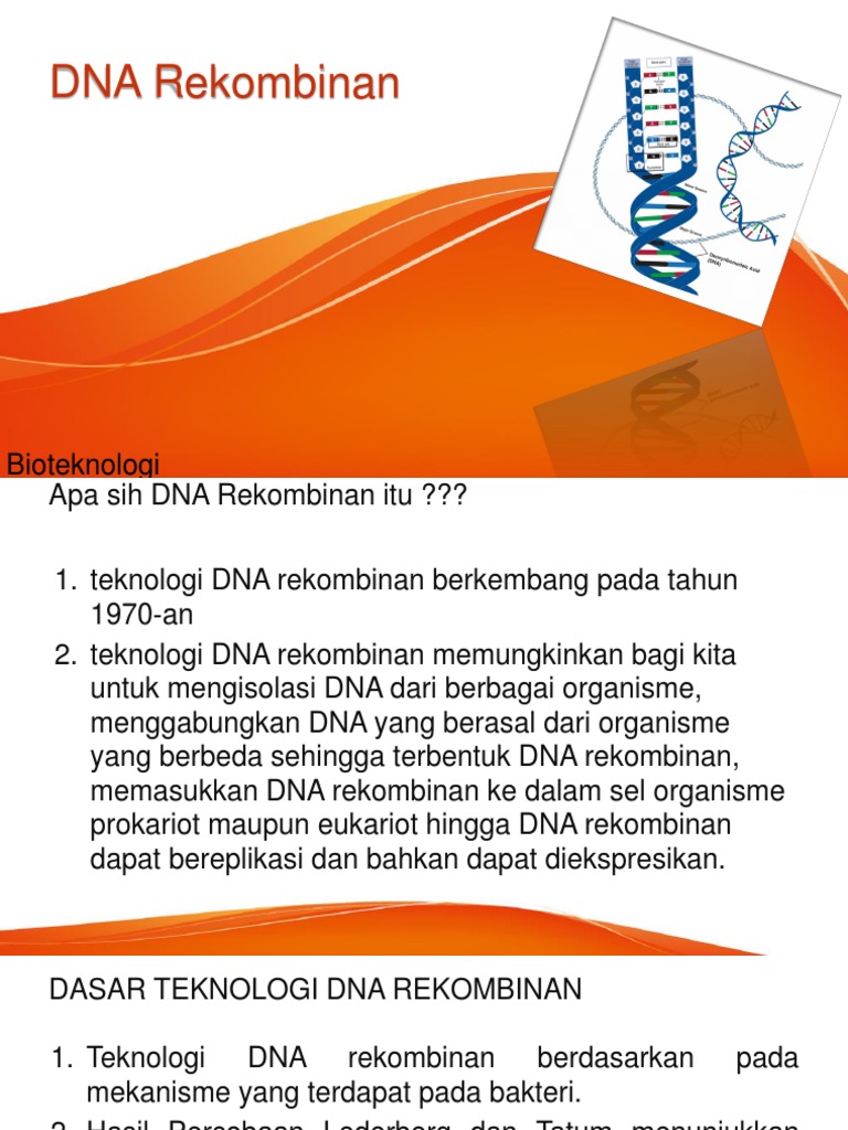 DNA Rekombinan | PDF