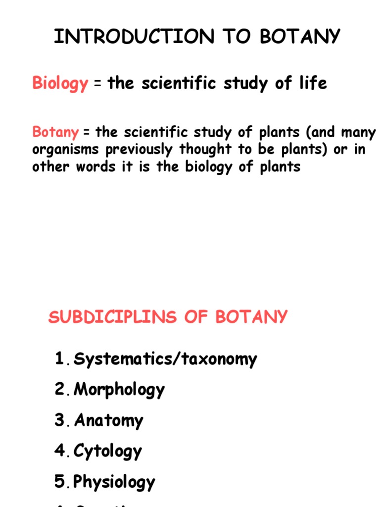 Introduction to Botany and Plant Morphology | PDF | Root | Leaf
