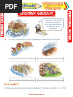 Sopa de Letras de Desastres Naturales - 20 | PDF