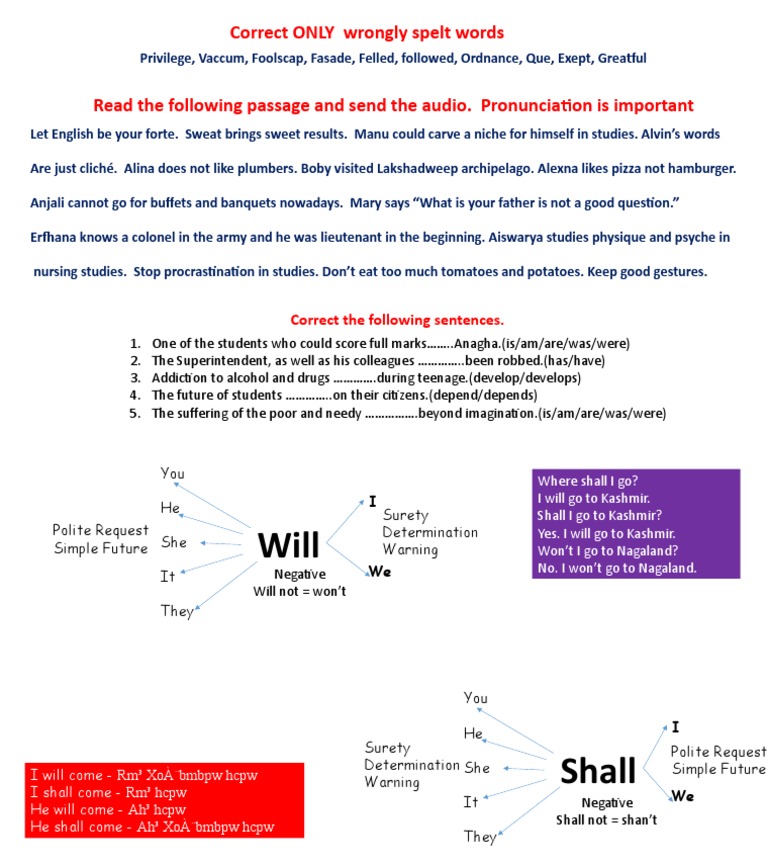 Will and Shall | PDF