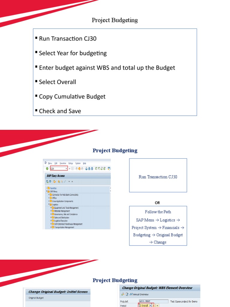 SAP Project Budgeting Guide | PDF | Economies