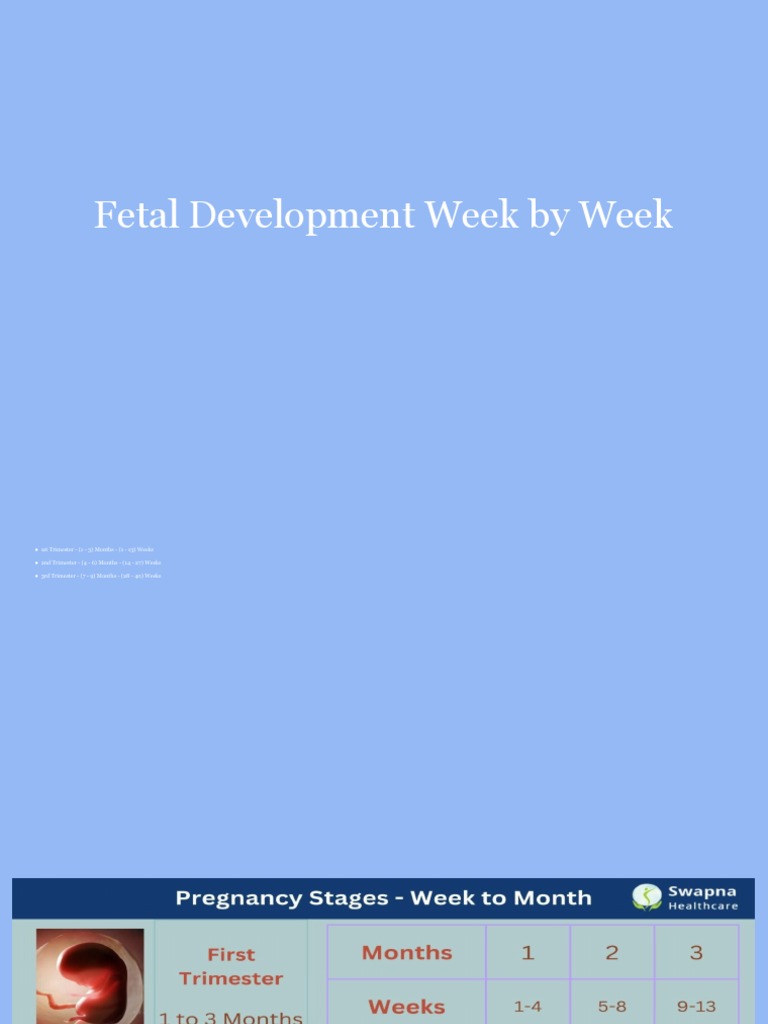 Pregnancy Week-by-Week Guide | PDF | Pregnancy | Fetus