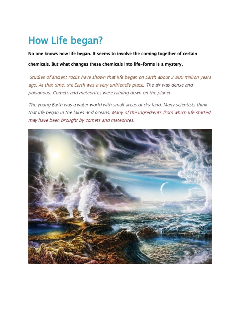 Origins of Life on Earth Explained | PDF | Science & Mathematics