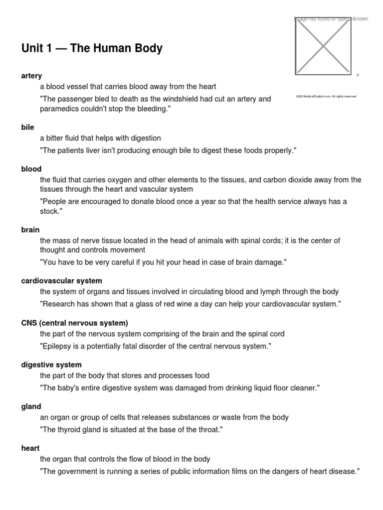 Unit 1 Vocabulary | PDF | Human Body | Blood
