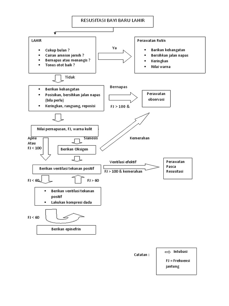 Bagan Resusitasi Bayi Baru Lahir | PDF | Kesehatan Holistik