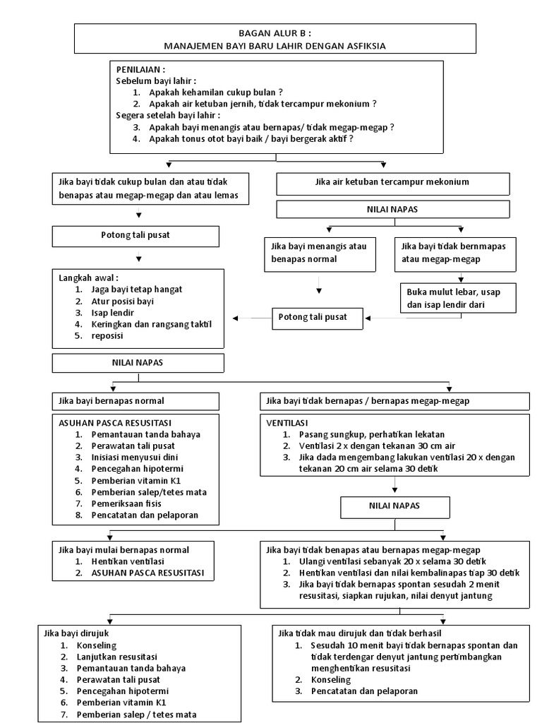 Bagan Manajemen Bayi Baru Lahir Dengan Asfiksia | PDF