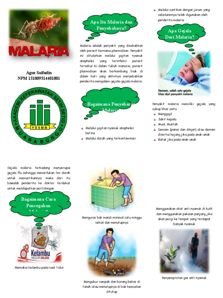 Leaflet Malaria | PDF