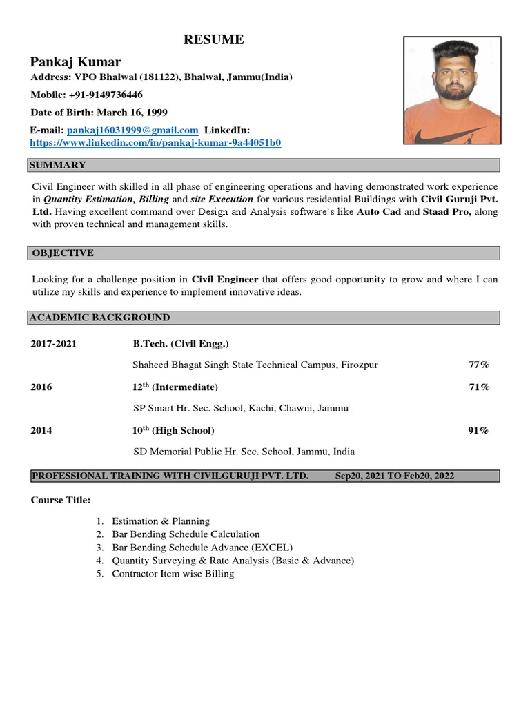 Pankaj (Resume) | PDF | Microsoft Excel | Computer Aided Design