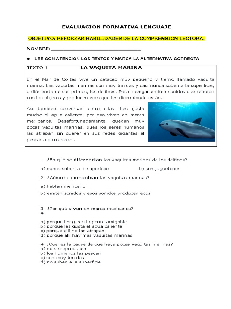 Comprension Lectora Quinto Basico | PDF | Panes | Estrellas