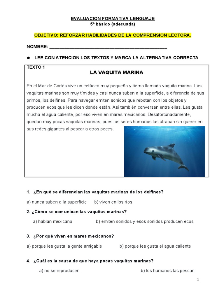 Comprension-lectora-Quinto-basico Adecuada | Descargar gratis PDF ...