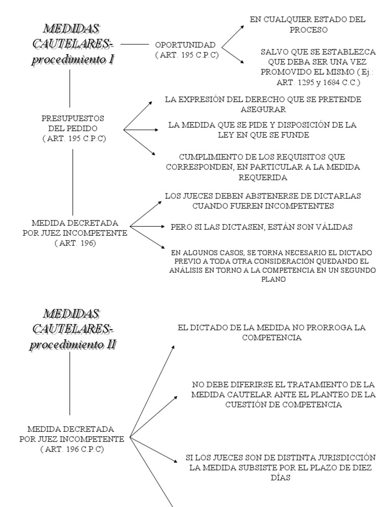 MEDIDAS CAUTELARES-procedimiento | PDF | Mandato | Gobierno