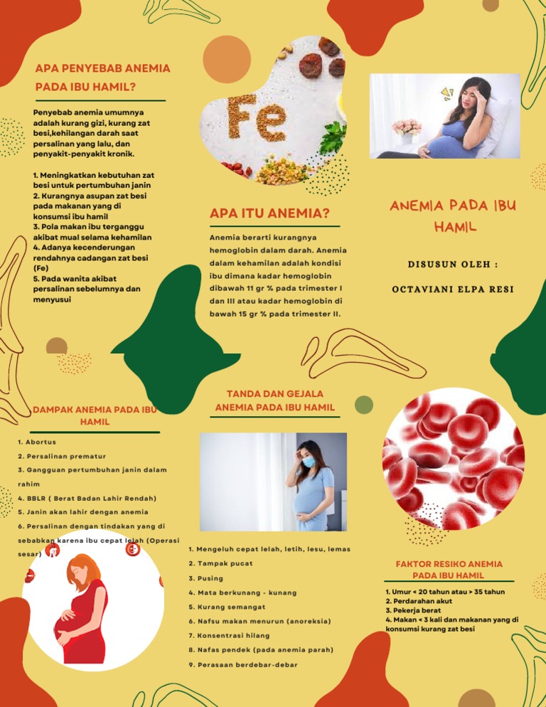 Leaflet Anemia Resi | PDF