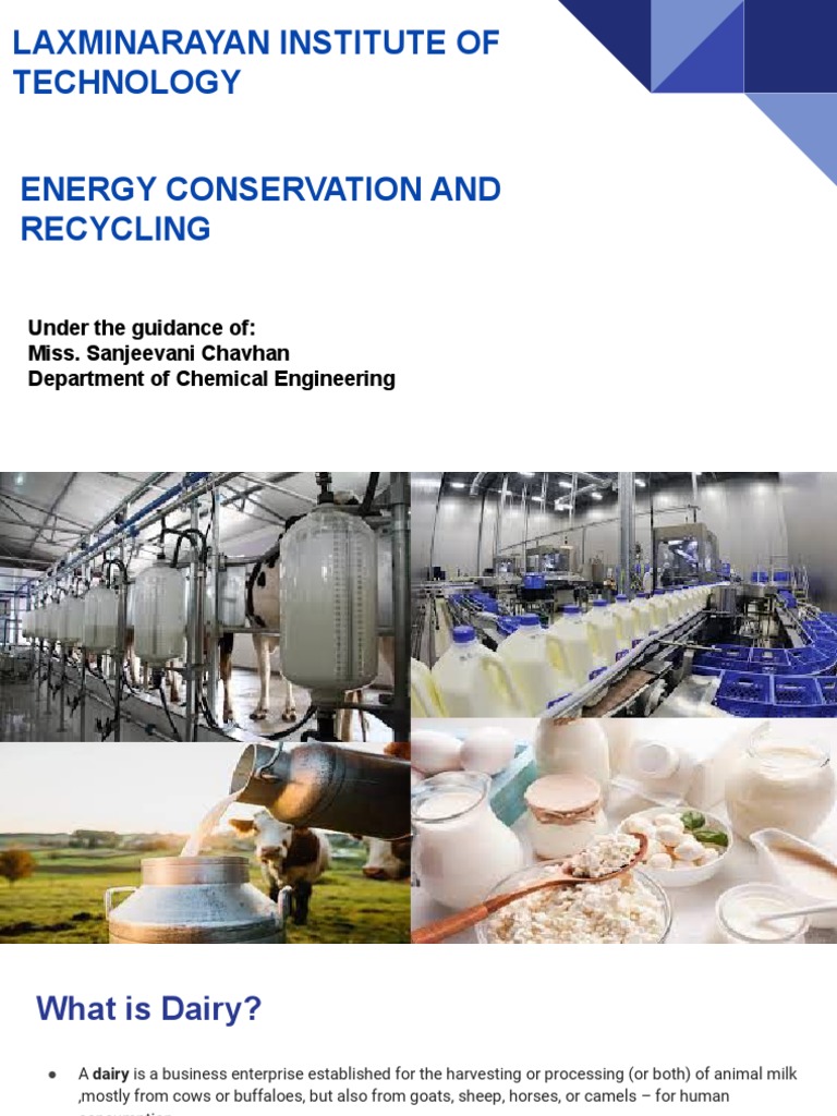 Dairy Industry | PDF | Milk | Dairy