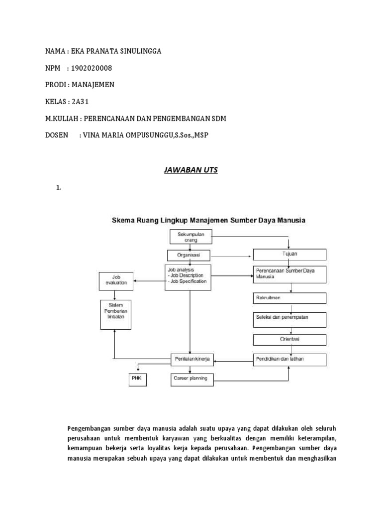 Jawaban UTS Perencanaan Dan Pengembangan SDM | PDF | Karier & Perkembangan