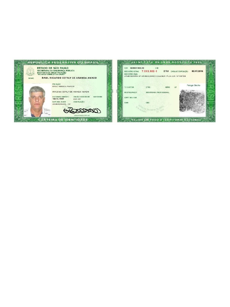 RG Digital - Raul Ricardo Cefaly de Aranda Amado | PDF