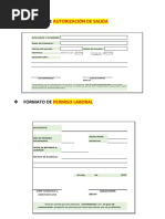 Formato Reporte de Retardo y Salidas | PDF